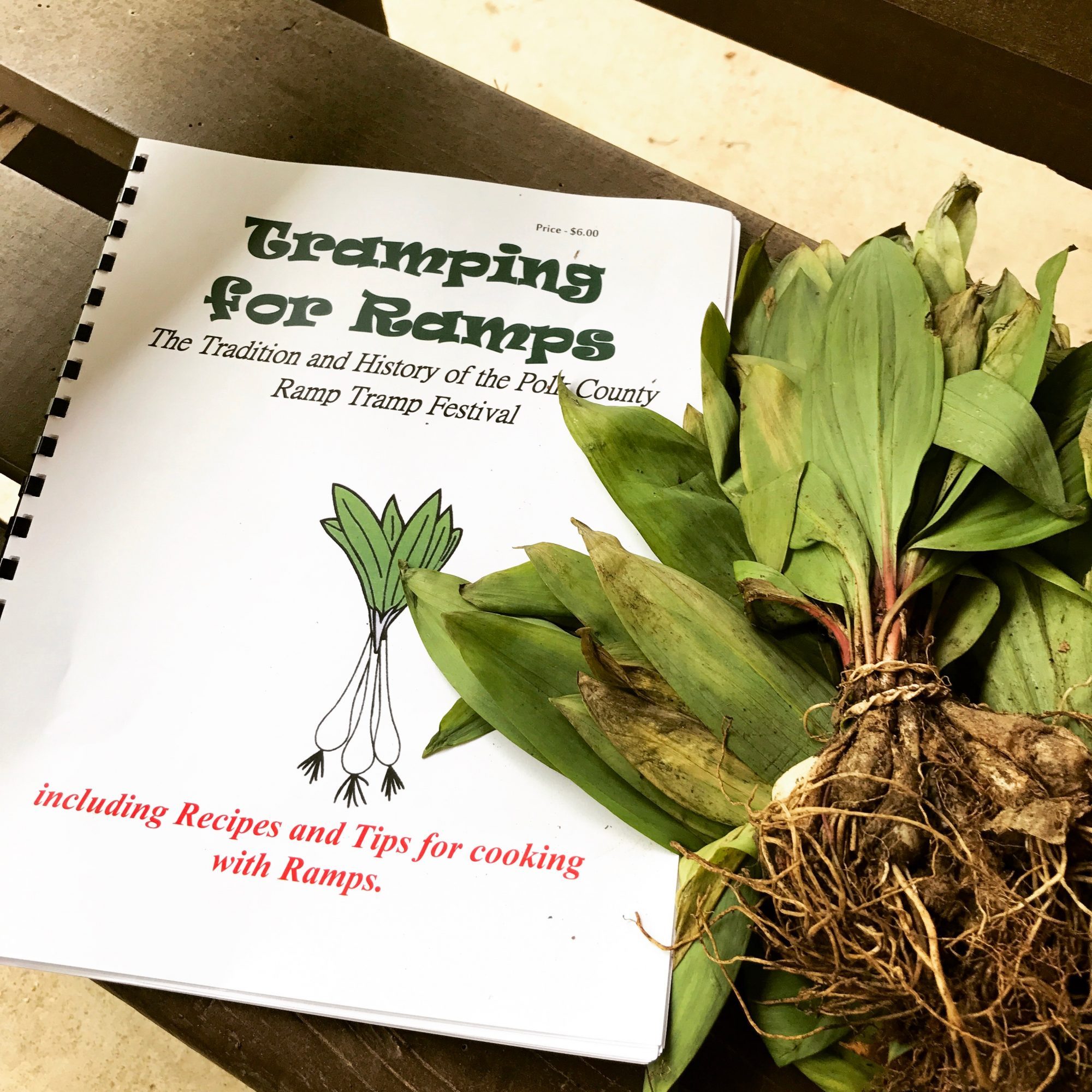 Chattanooga Region Travel Adventures