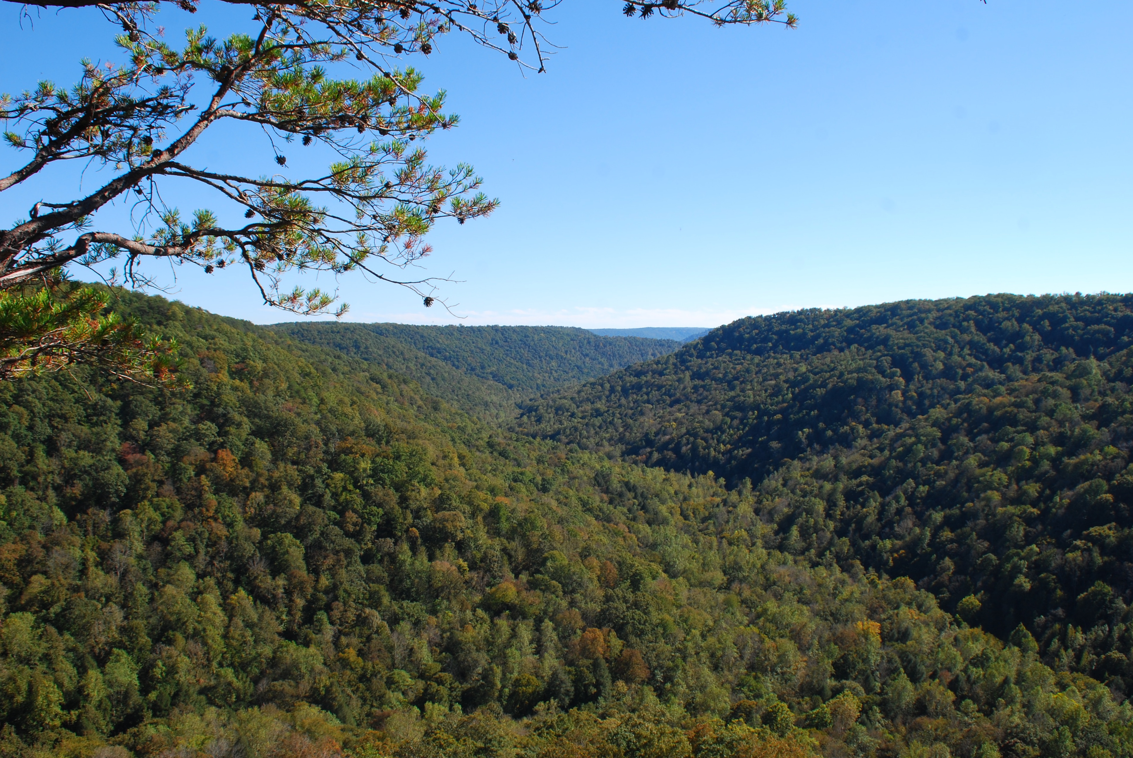 Hike to Raven Point ~ South Cumberland State Park - Chattanooga Region ...