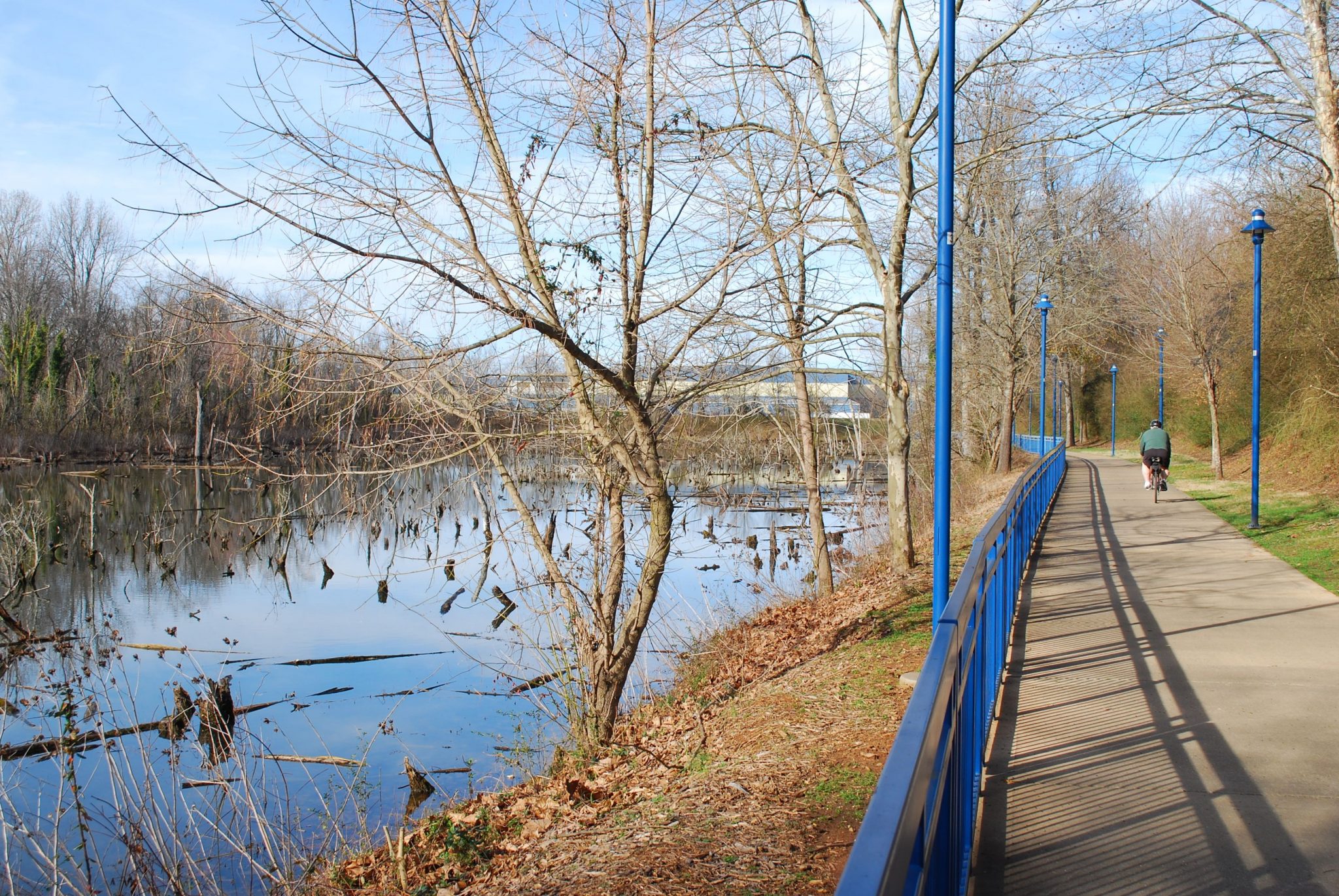 Five Southeast Tennessee Wildlife Viewing Hotspots - Chattanooga Region ...