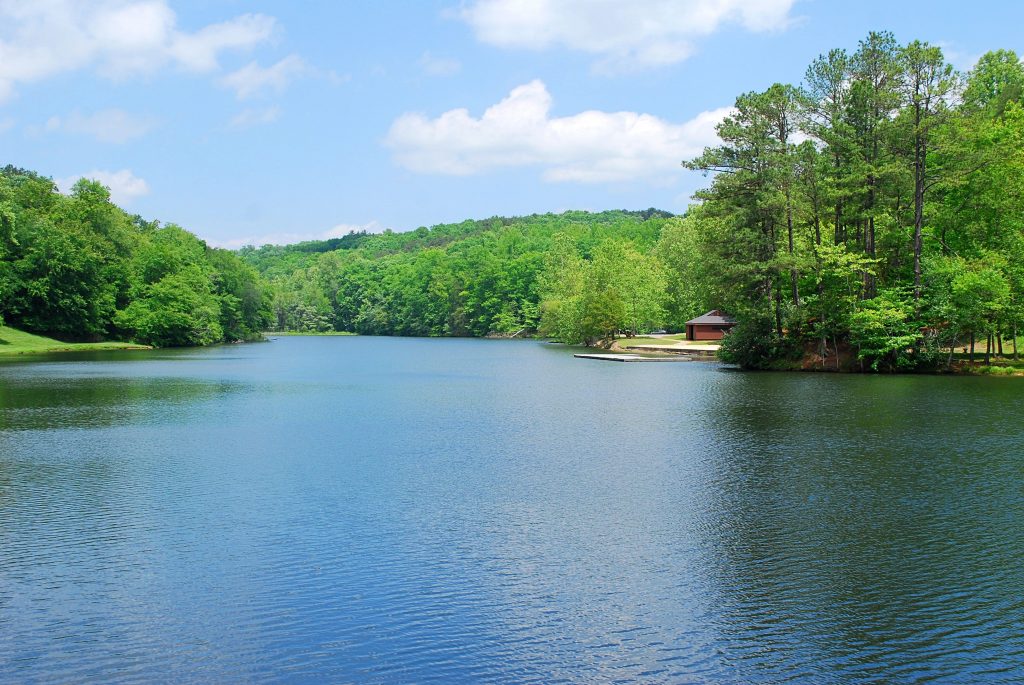 Five Southeast Tennessee Wildlife Viewing Hotspots - Chattanooga Region ...
